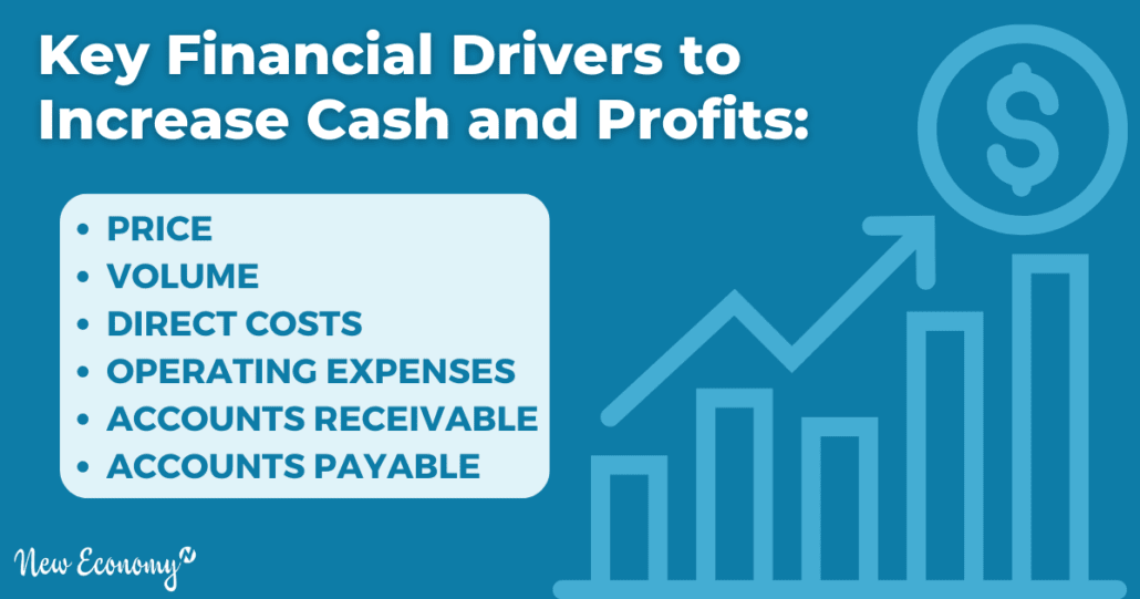 5 Financial Levers to Increase Cash and Profits in Your Growth Stage ...